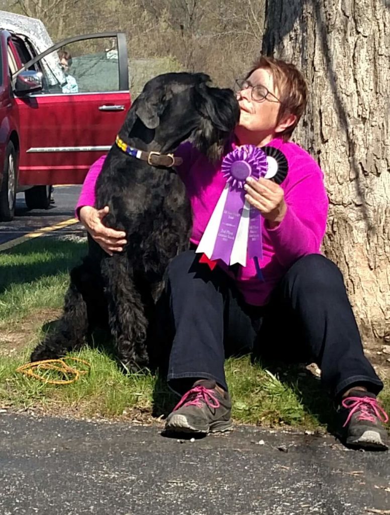 LV Board | LV DVG America