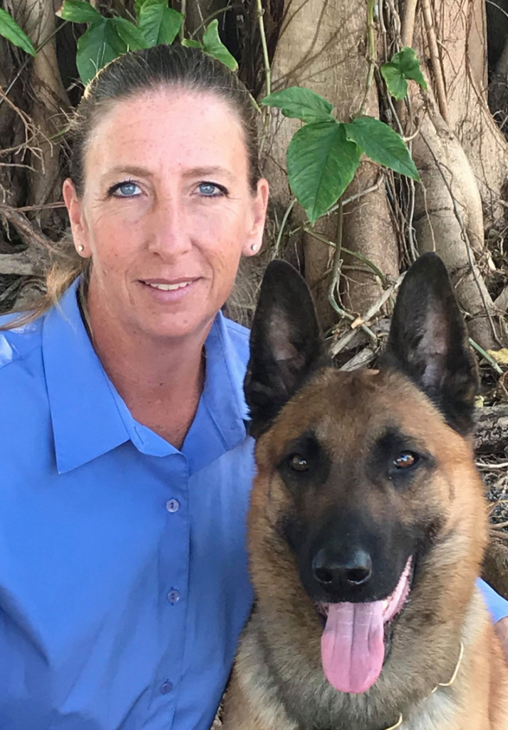 LV Board | LV DVG America